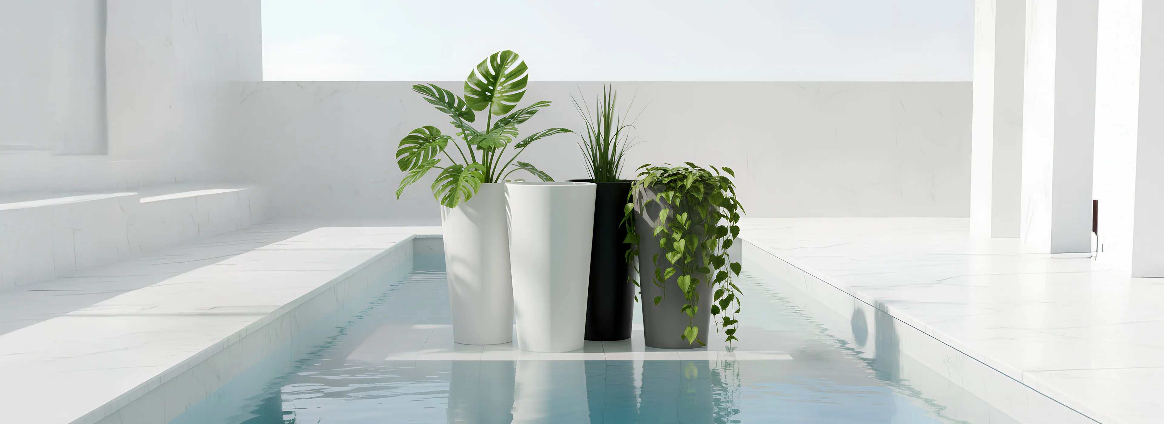Fiberglass Planters | Hand tufted Carpets | Niche Group